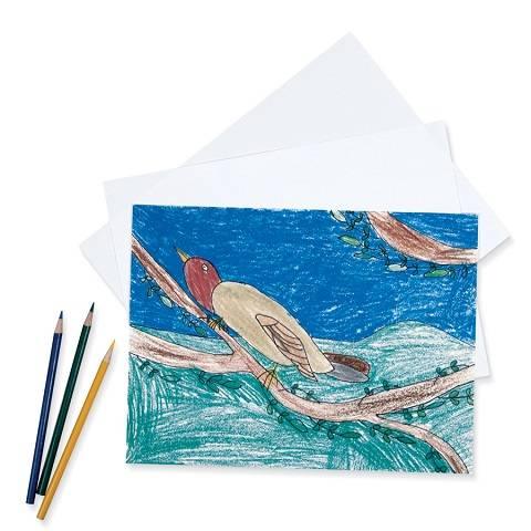 PACON DRAWING PAPER PREMIUM WEIGHT 18" X 24" WHITE 500 SHEETS – Gramco ...