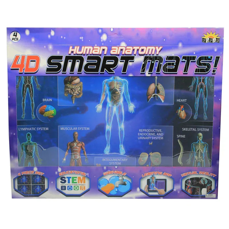 Human Anatomy Smart Mats, Set of 4 – Gramco School Supplies