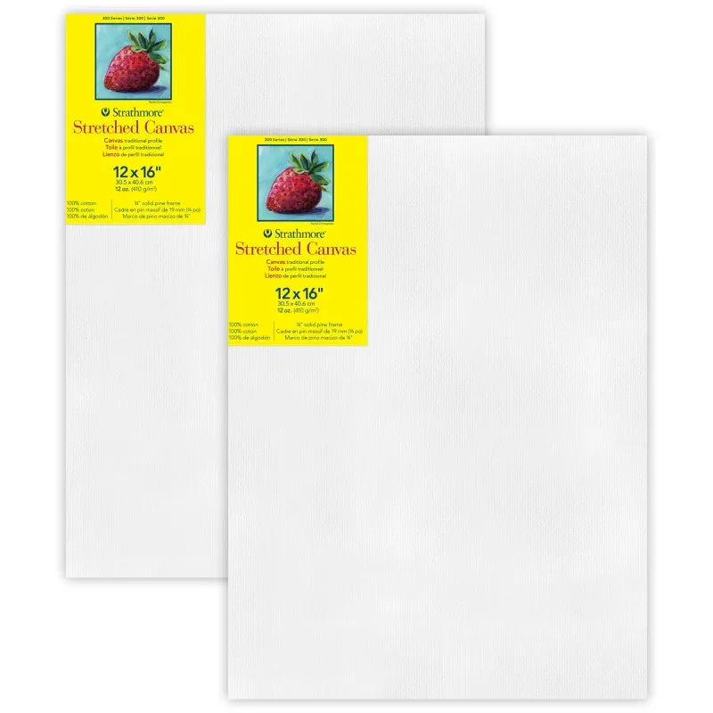 300 Series Traditional Stretched Canvas, 12x16 inch, Pack of 2 – Gramco ...